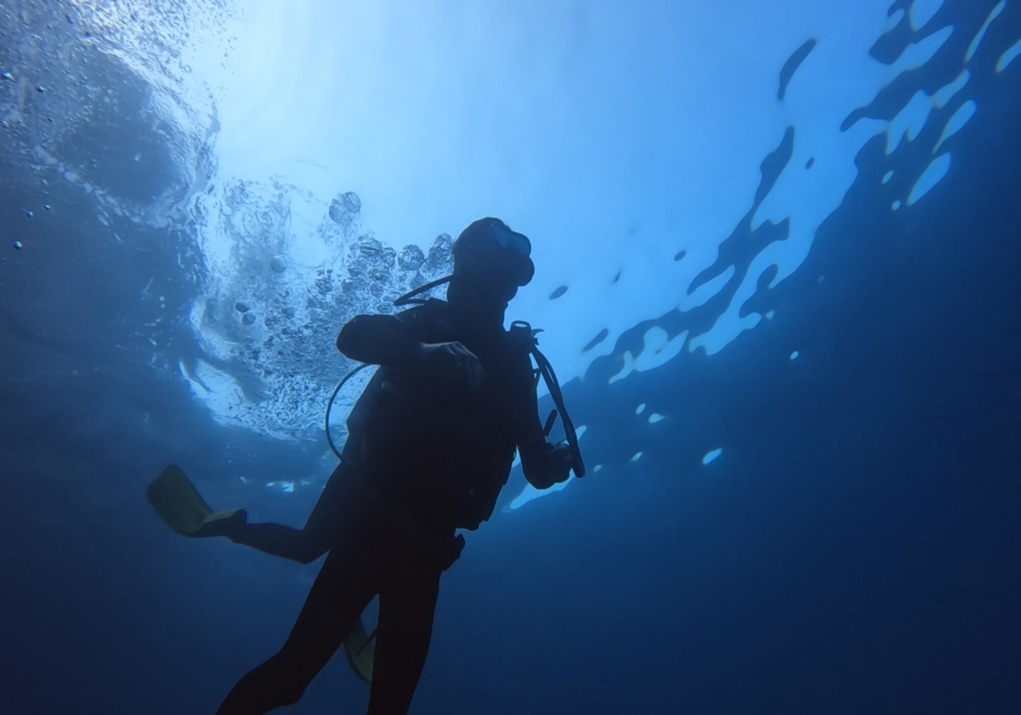 ¡Descubre el bautismo de buceo!
